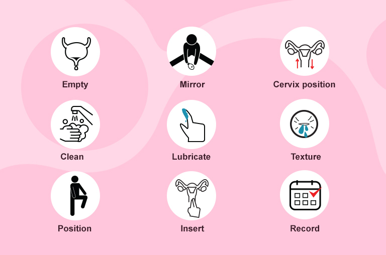 Cervix Before Period vs Early Pregnancy: Expect Changes!