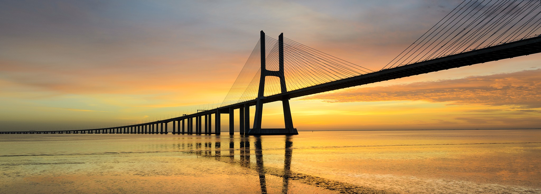 SpideREX K8, il cappotto che fa... ponte - Spiderexk8