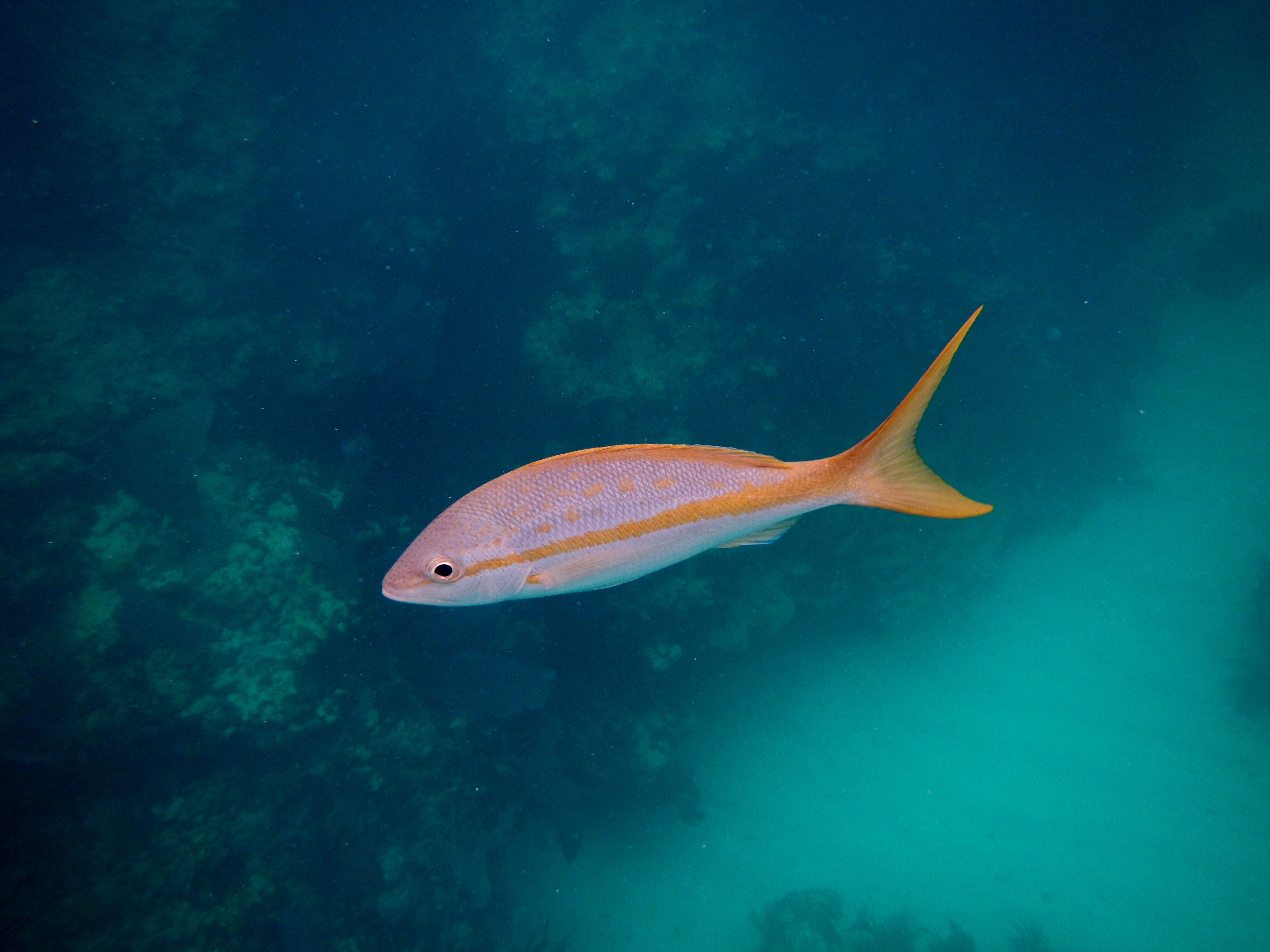 the Keys | Spinning Compass