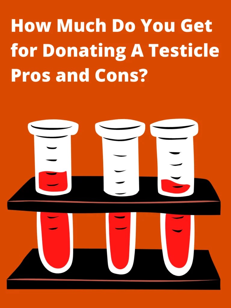 How Much Do You Get For Donating A Testicle Pros And Cons SproutMentor how-much-do-you-get-for-donating-a-testicle-pros-and-cons-sproutmentor