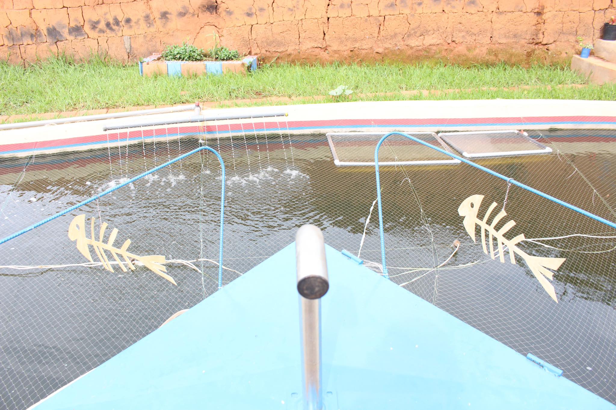 La pisciculture au Madagascar : une réussite ! | Service de Préparation ...