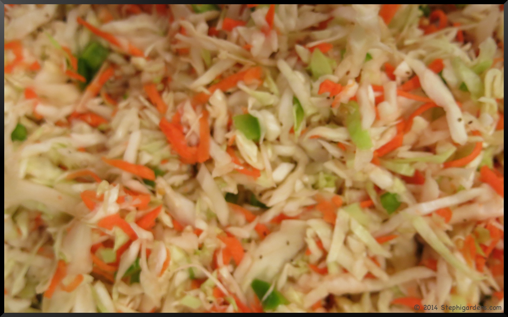 Freezer Slaw | Stephi Gardens