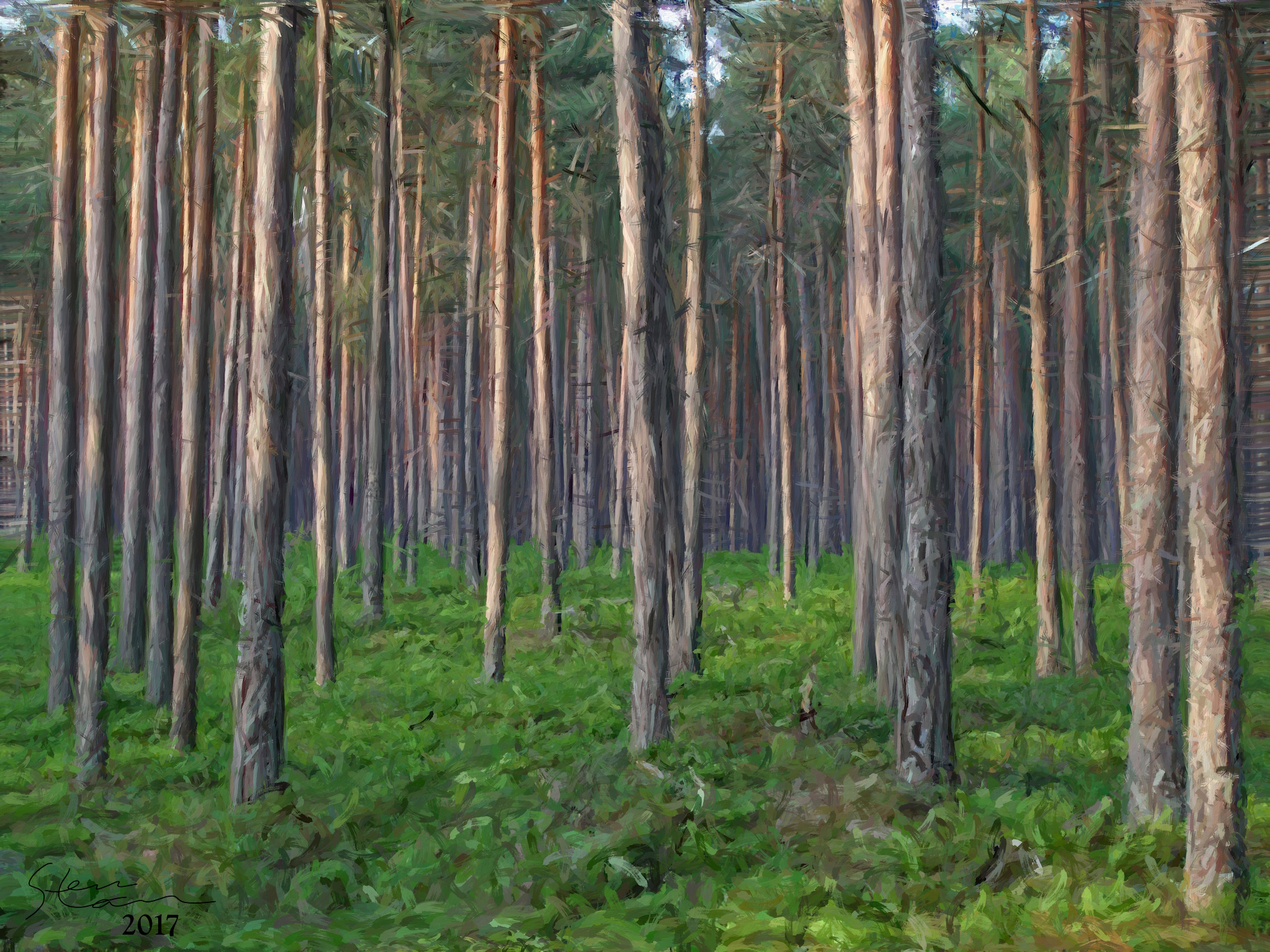 DEGAS Gallery | The Thing That is Steve