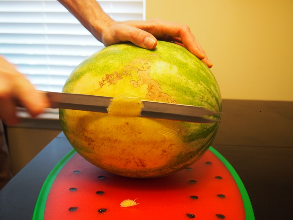 How to Turn a Watermelon Into a Hedgehog: Carving Contest Announcement ...