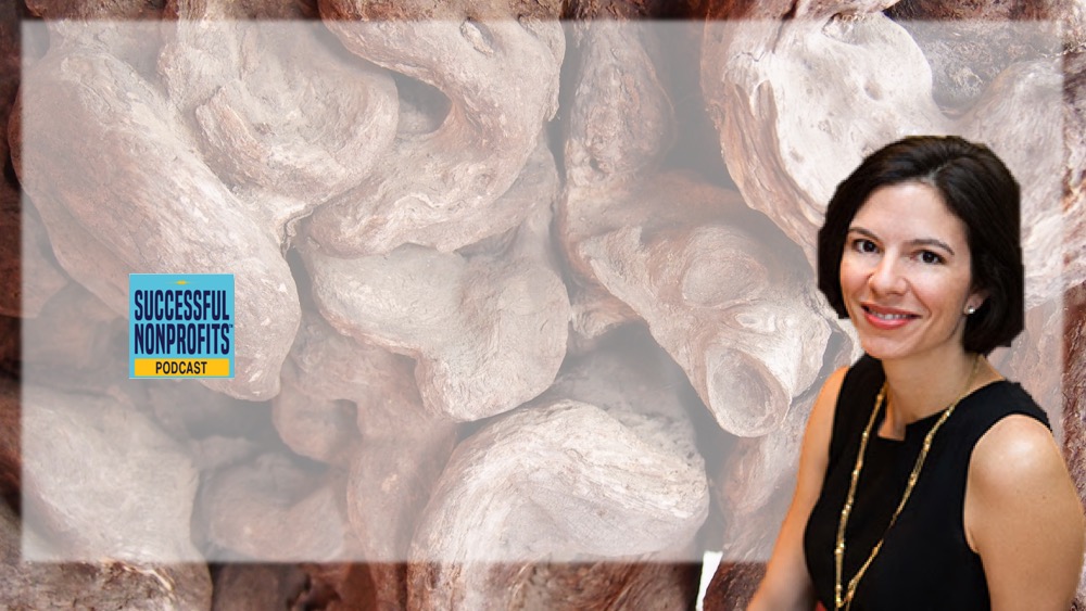 The CEO Next Door with Kim Powell : Successful Nonprofits