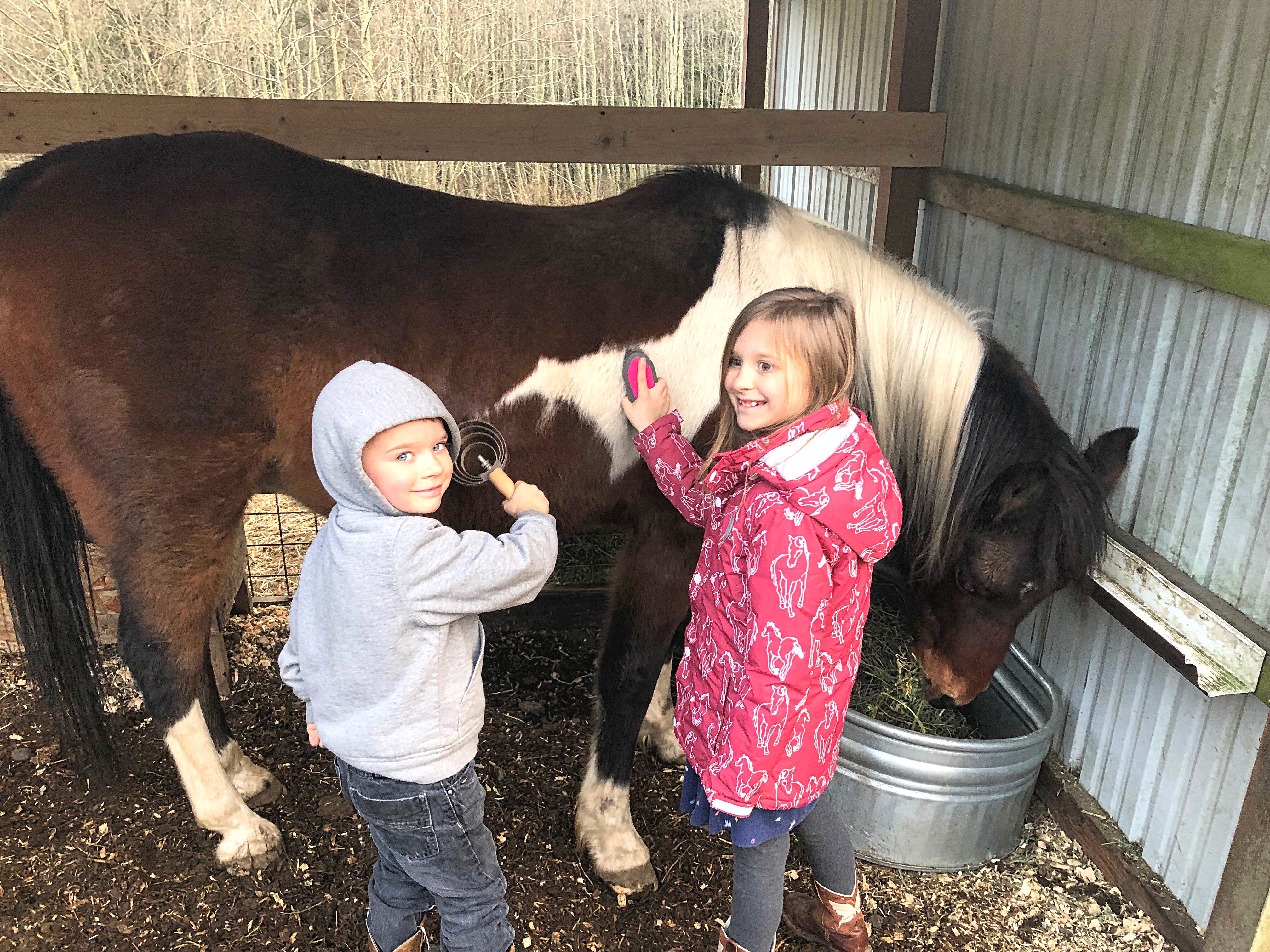 Top Five Reasons Why A Farm Is Great For Families - Sunset Farm NW