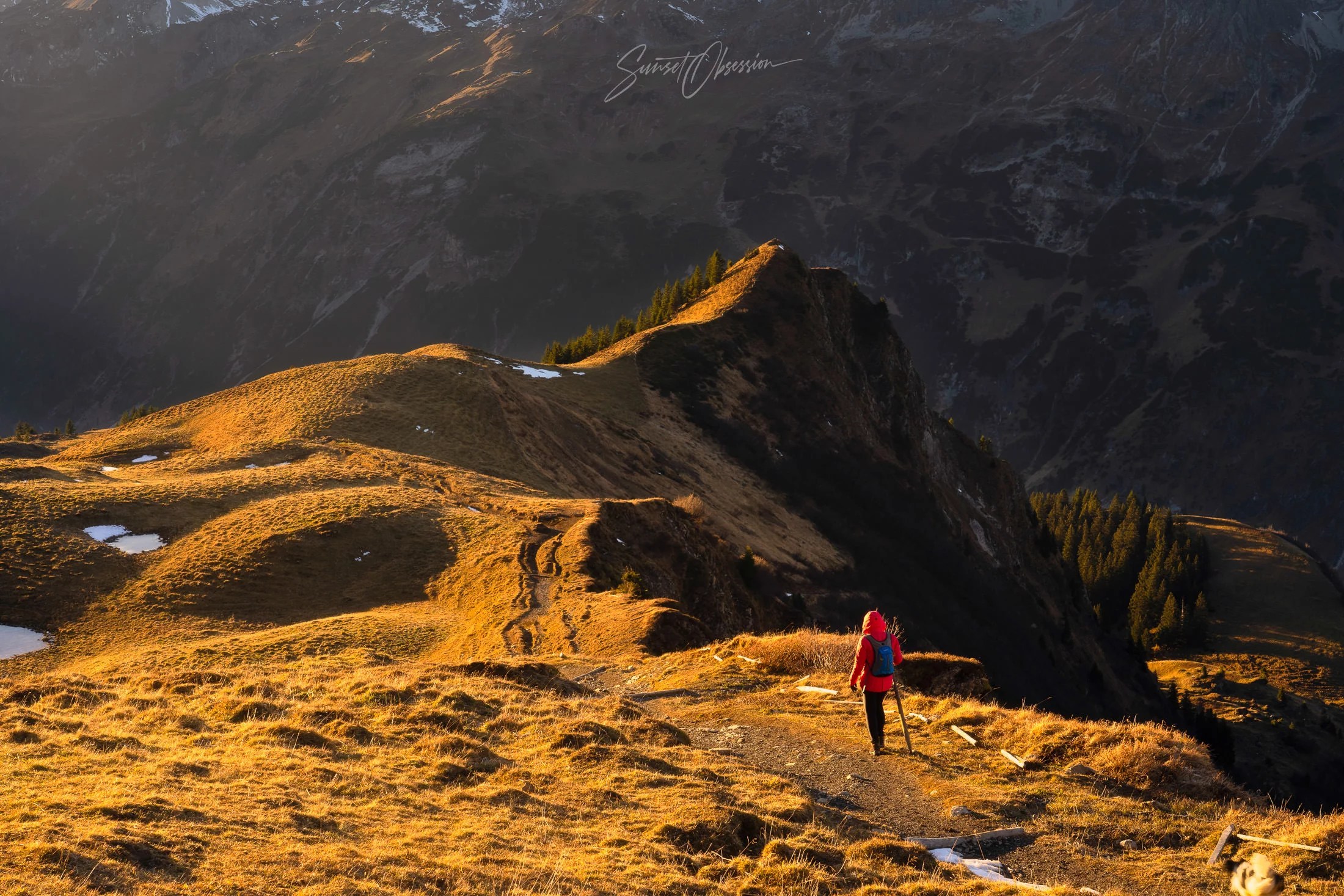 Sunset Obsession Annual Review 2020 - Sunset Obsession