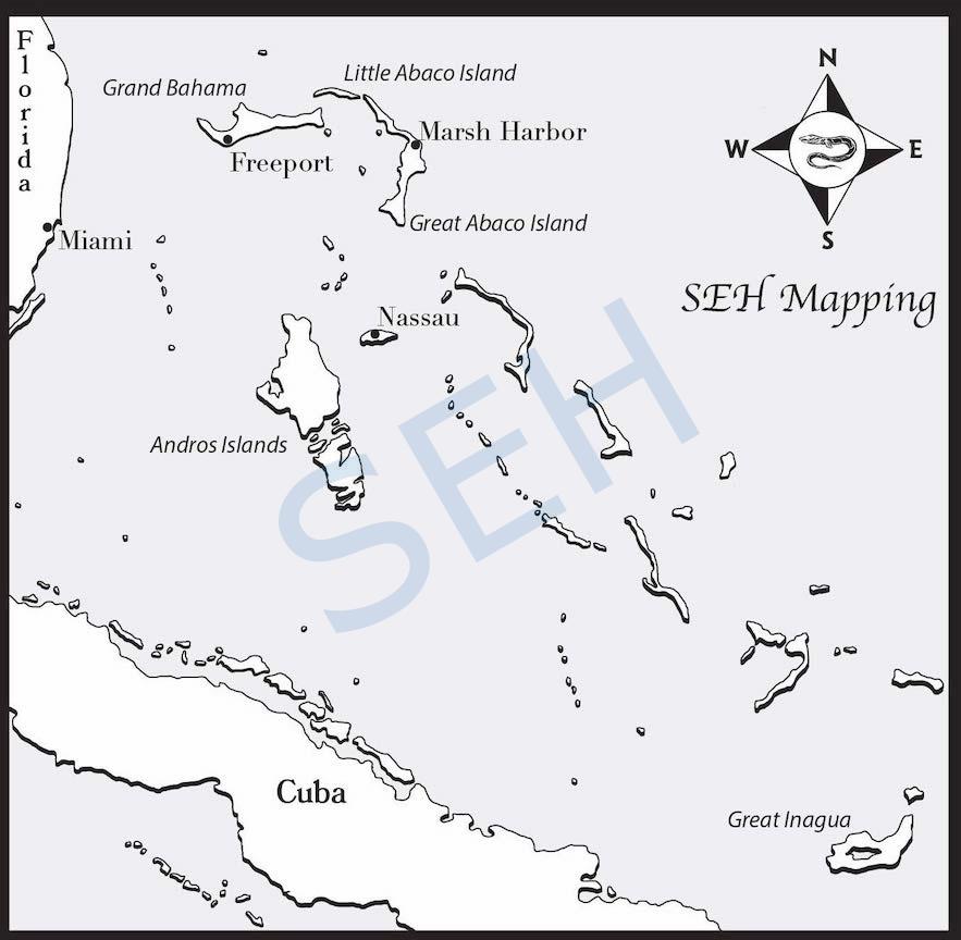 Examples - Surprised Eel Mapping