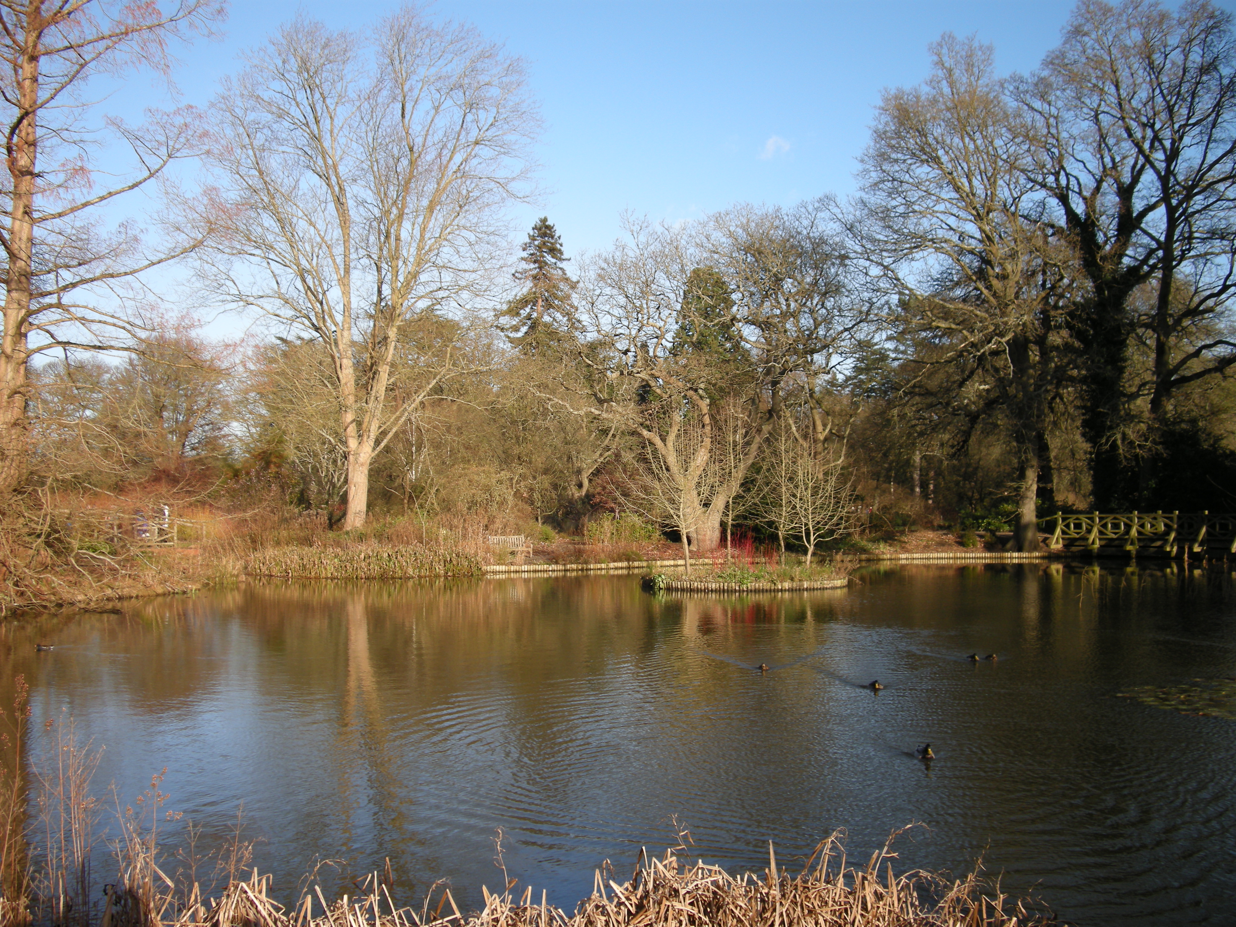Wisley Through The Seasons - The Surrey Edit
