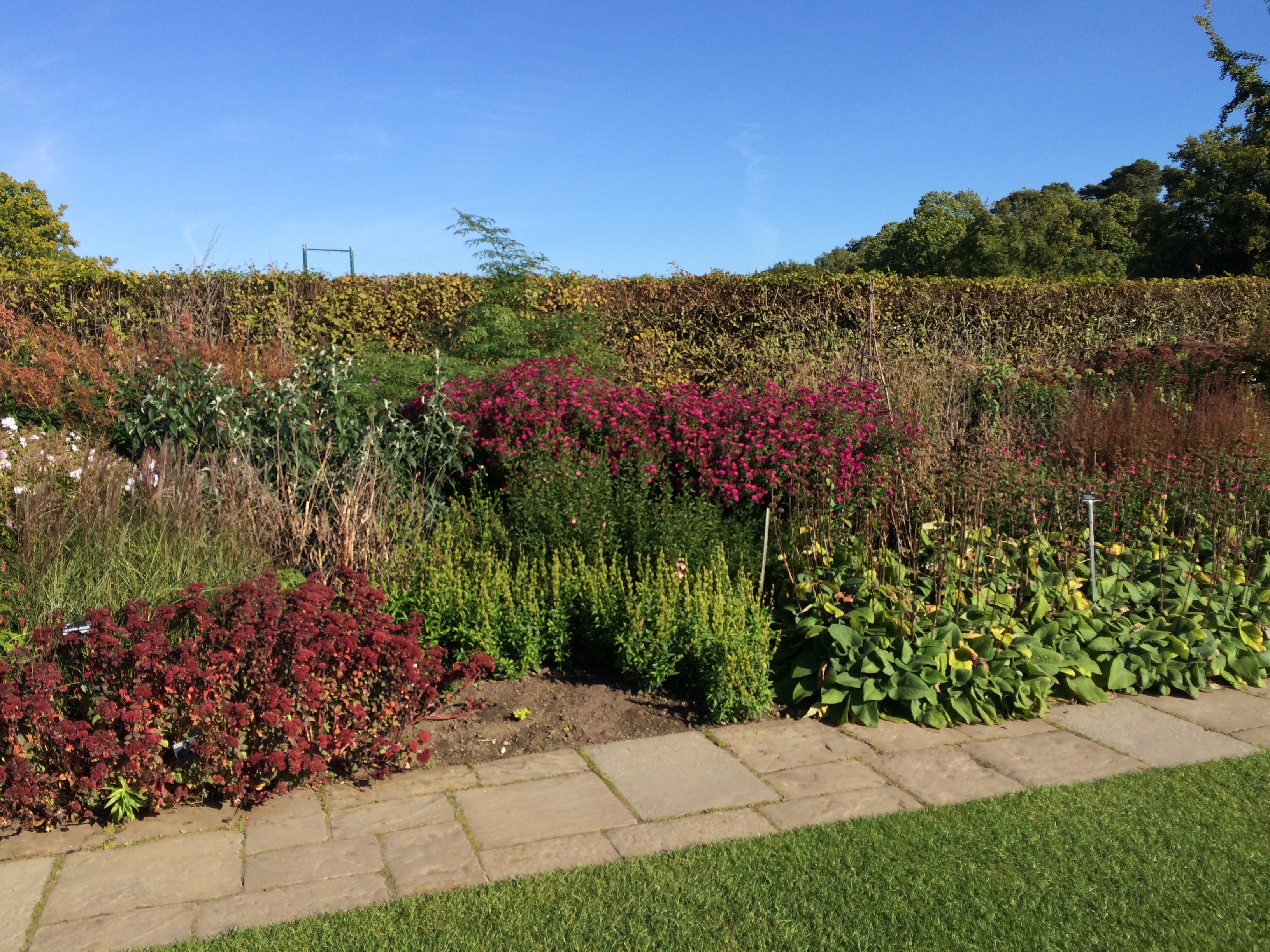 Autumn at RHS Wisley | The Surrey Edit