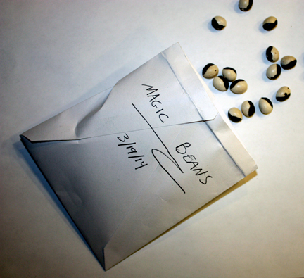 DIY Seed Bank - TastyLandscapeTastyLandscape