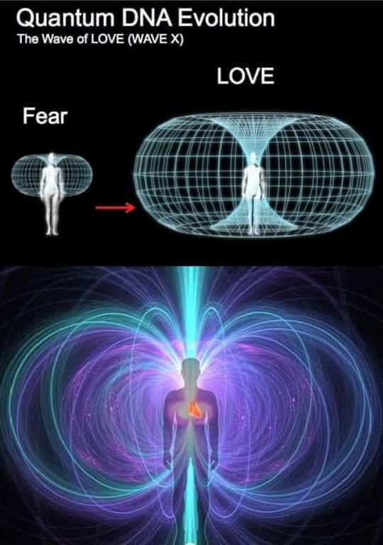 Quantum DNA Evolution – Love is a magnetic and radiating vortex and the ...