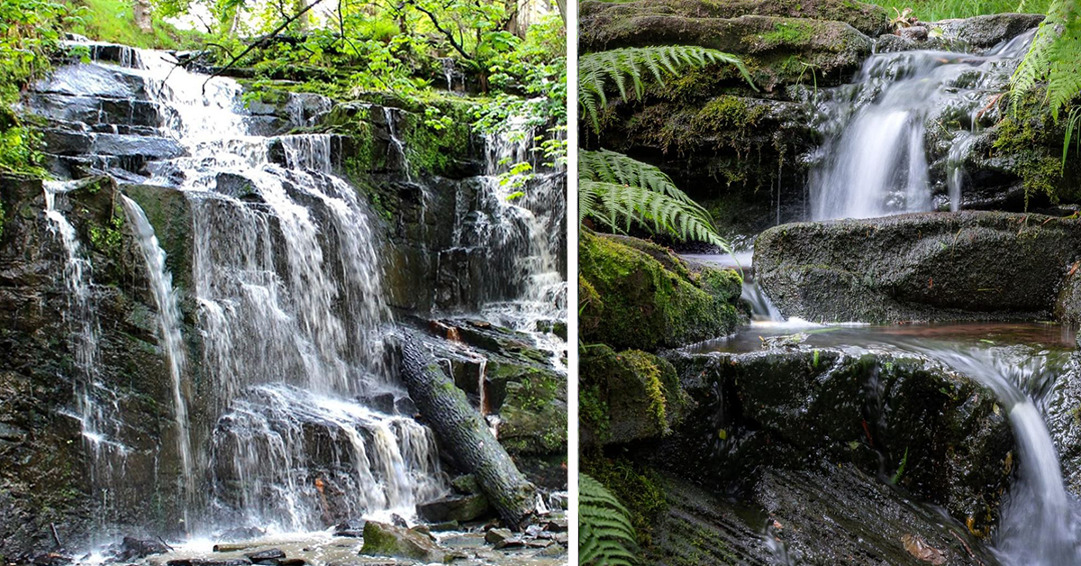 Folly Dolly Falls: A West Yorkshire Hidden Gem - The Yorkshireman