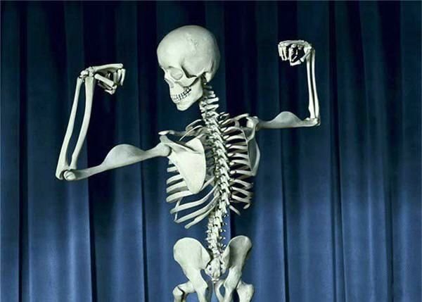 skeletal-system-archives-the-anti-aging-guy
