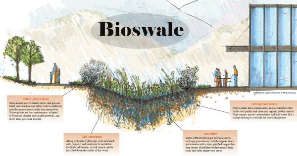 Bioswale – Design, Applications and Advantages - The Constructor