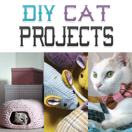 DIY Cat Projects - The Cottage Market