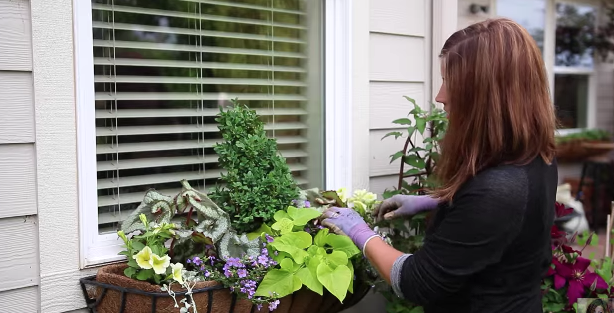 Beautiful DIY Window Box Ideas with Curb Appeal - The Cottage Market