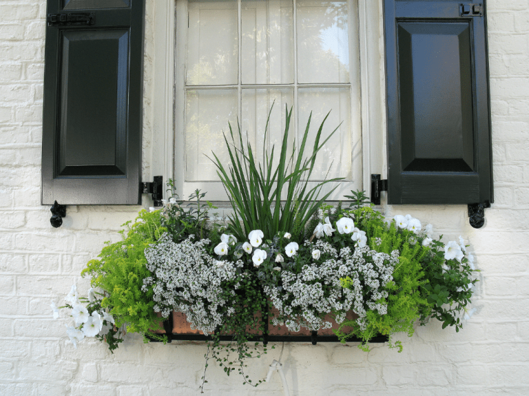 Beautiful DIY Window Box Ideas with Curb Appeal - The Cottage Market