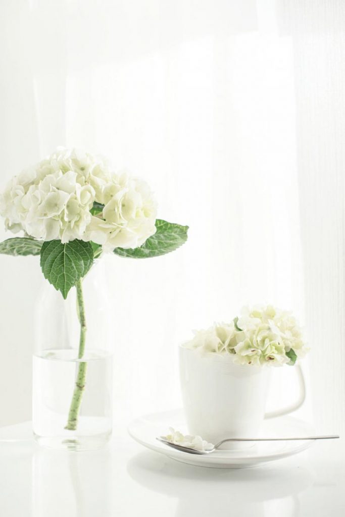 Fresh and Fabulous Farmhouse DIYs and Ideas - The Cottage Market