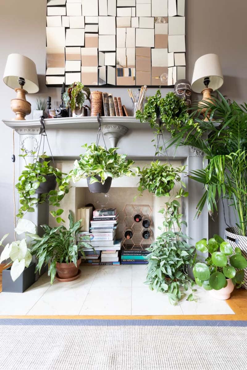 22 Ways To Display Plants Without A Plant Stand - The Cottage Market
