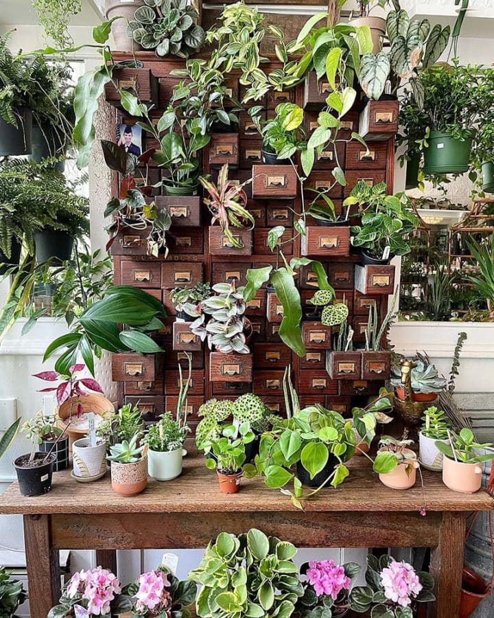 11 Ways To Display Plants Without A Plant Stand - The Cottage Market