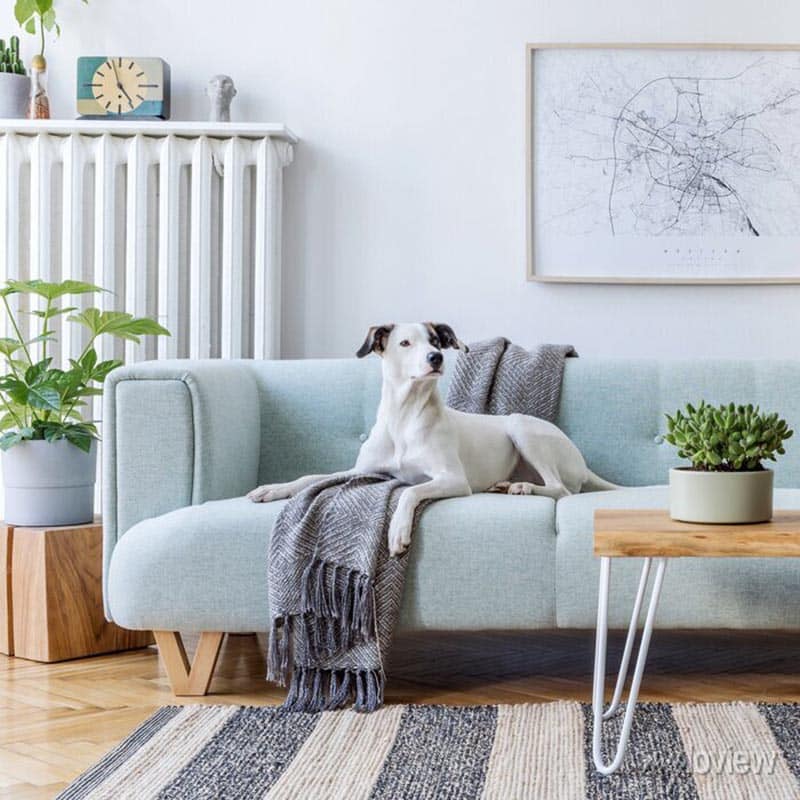 Unveiling Scandinavian Decor: Embrace Minimalism and Cozy Simplicity ...