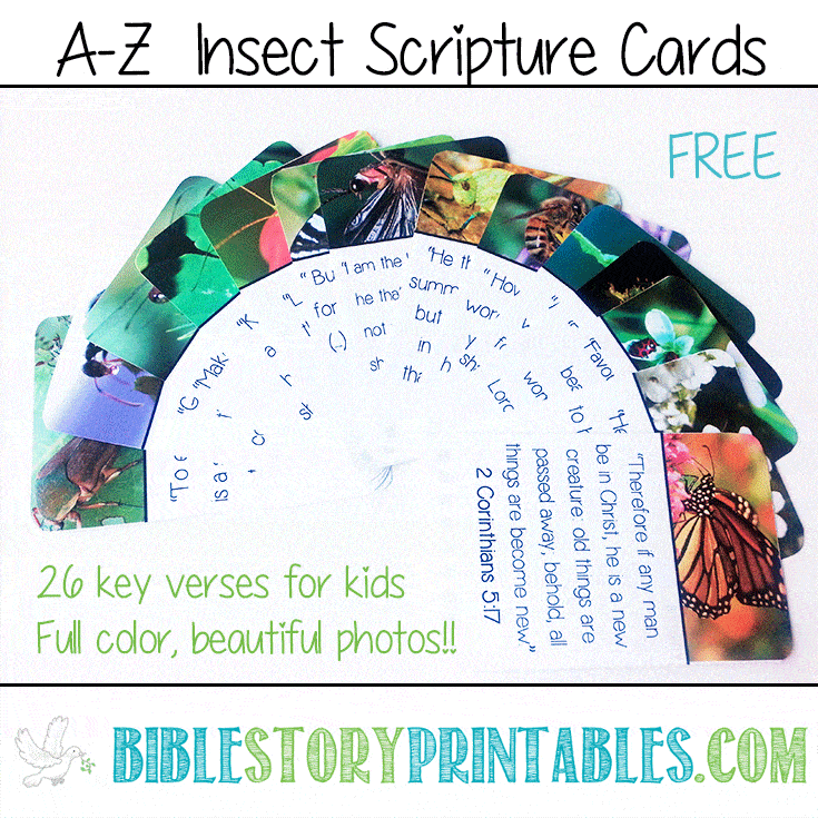 Insect Crafts for Kids - The Crafty Classroom