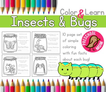 Color and Learn Worksheets - The Crafty Classroom