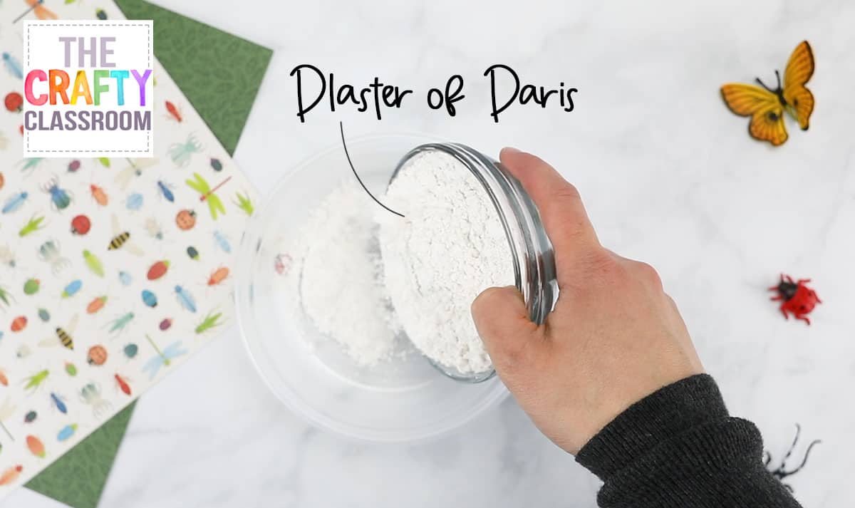 Fossil Craft - The Crafty Classroom