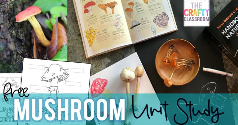 Mushroom Unit Study - The Crafty Classroom