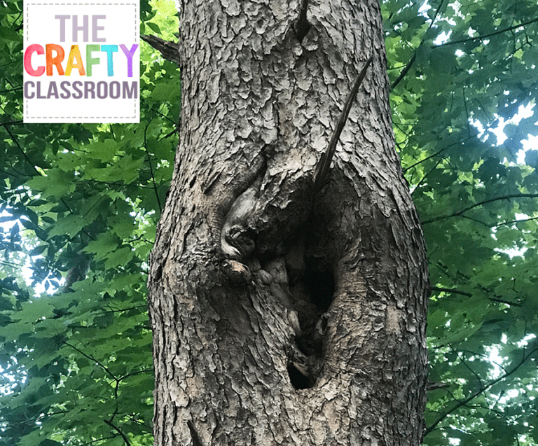 Free Trees Unit Study - The Crafty Classroom