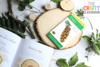 Free Trees Unit Study - The Crafty Classroom