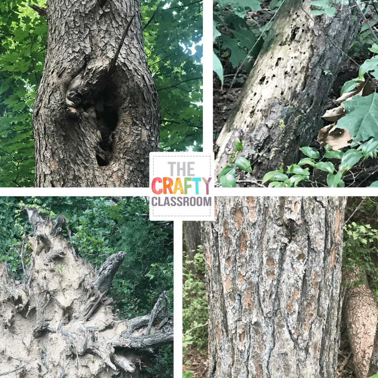 Free Trees Unit Study - The Crafty Classroom