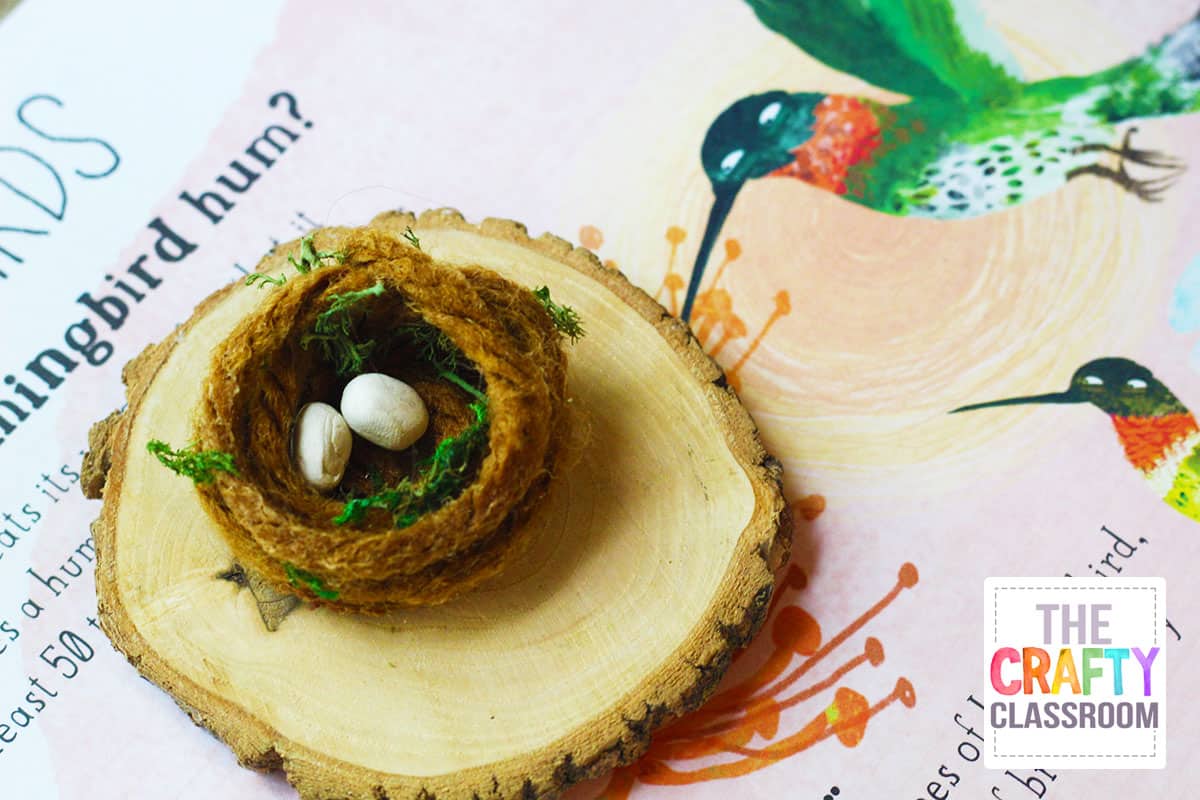 Hummingbird Unit Study - The Crafty Classroom