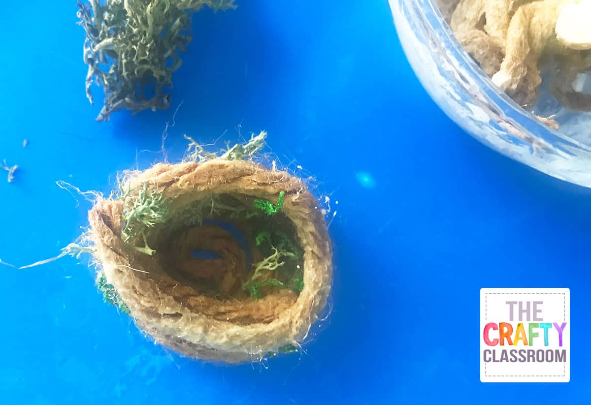 Hummingbird Unit Study - The Crafty Classroom