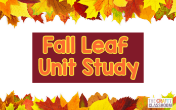 Leaf Unit Study - The Crafty Classroom