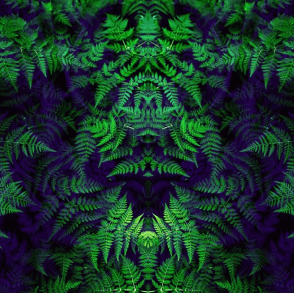 UNKNWN Takes Us On A Journey with New Mixtape 'The Purple Fern ...