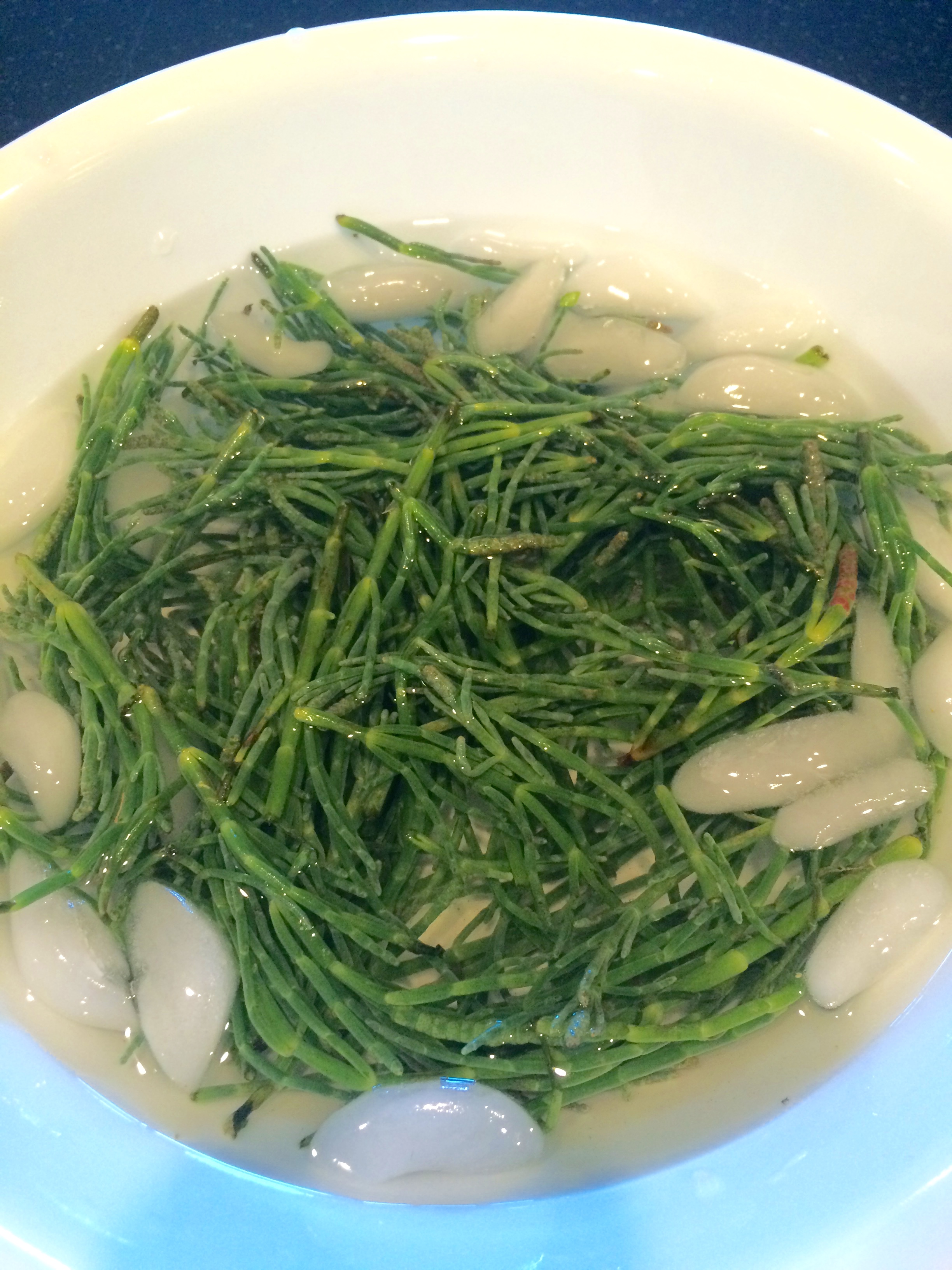 WTFork is a Sea Bean? | TheForkingTruth