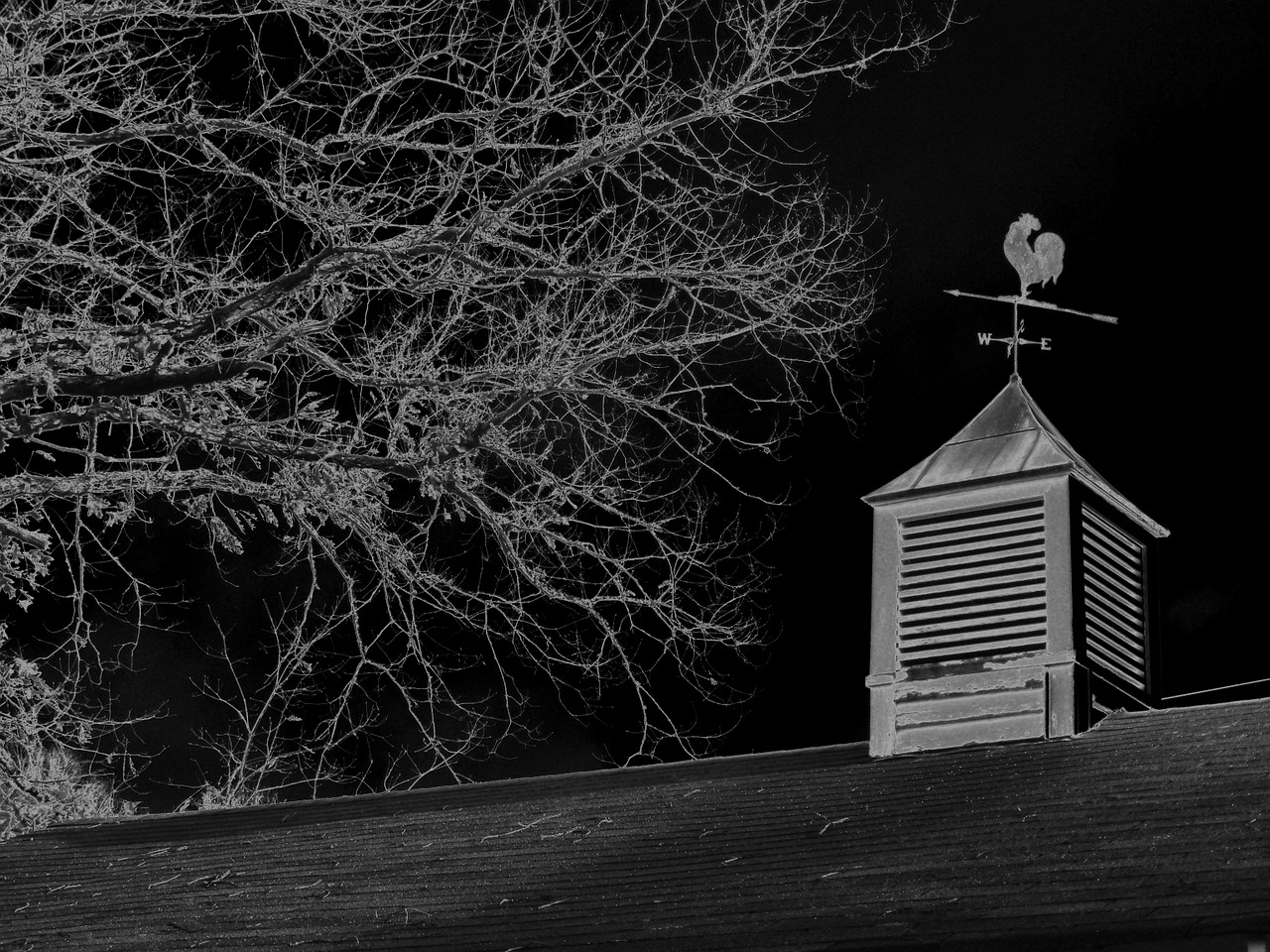 5 Things You Should Know Before You See The Conjuring 2 | The Fright Owl