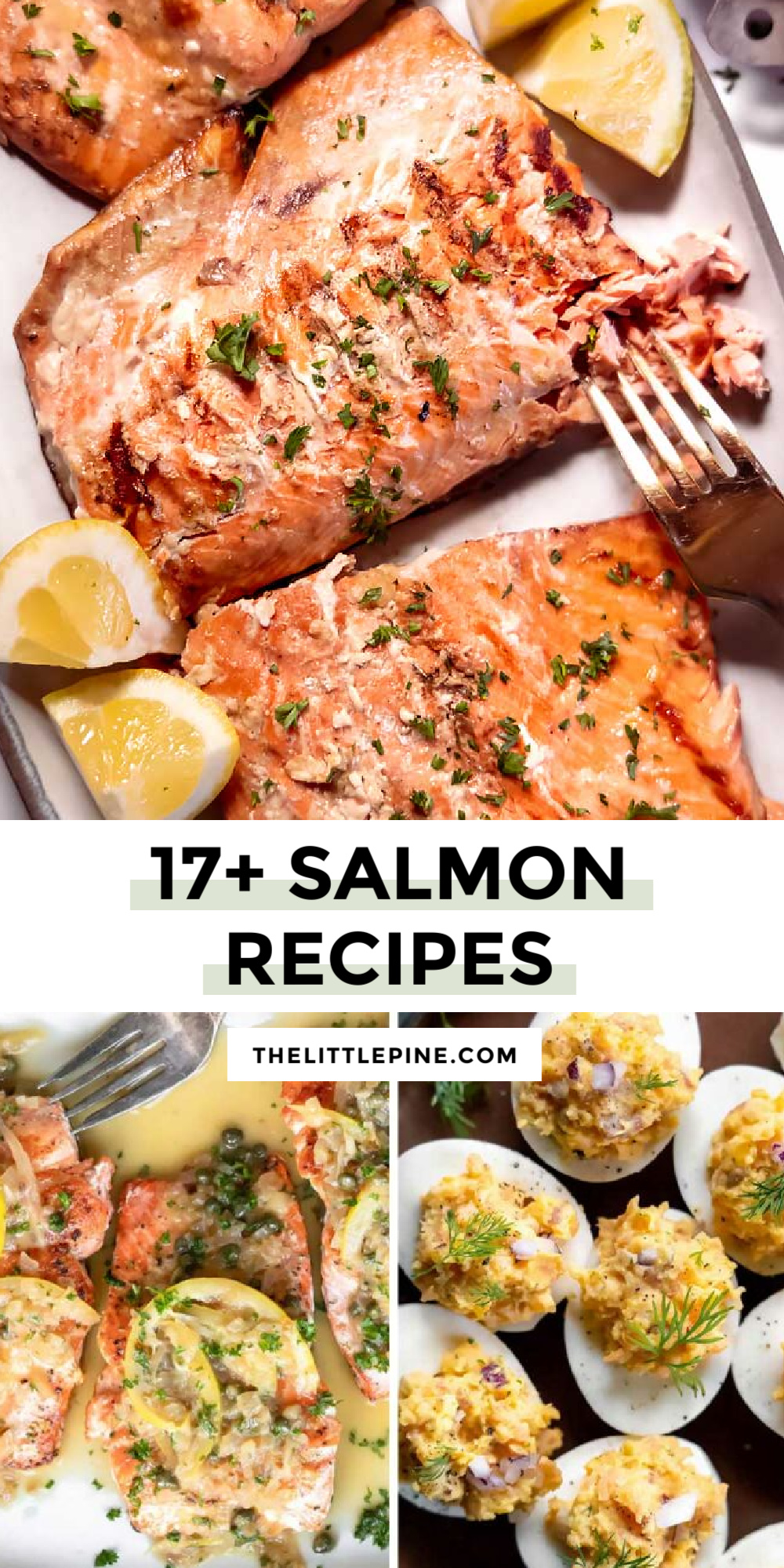 27+ Salmon Recipes - Little Pine Kitchen