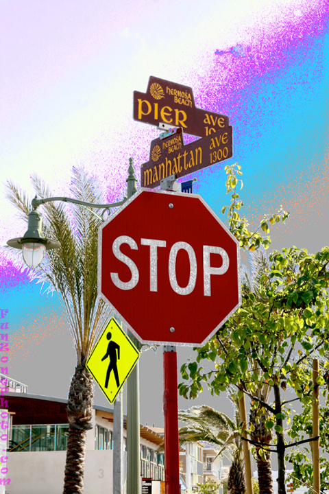 Java Man Hermosa Beach