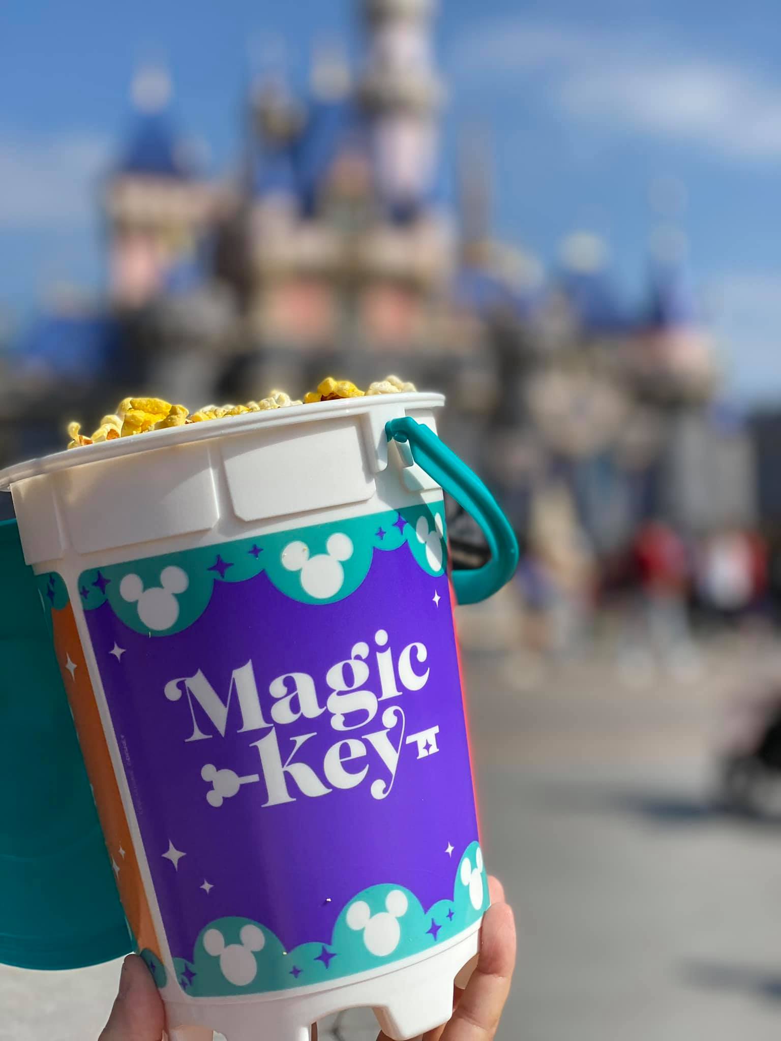 Disneyland Magic Key