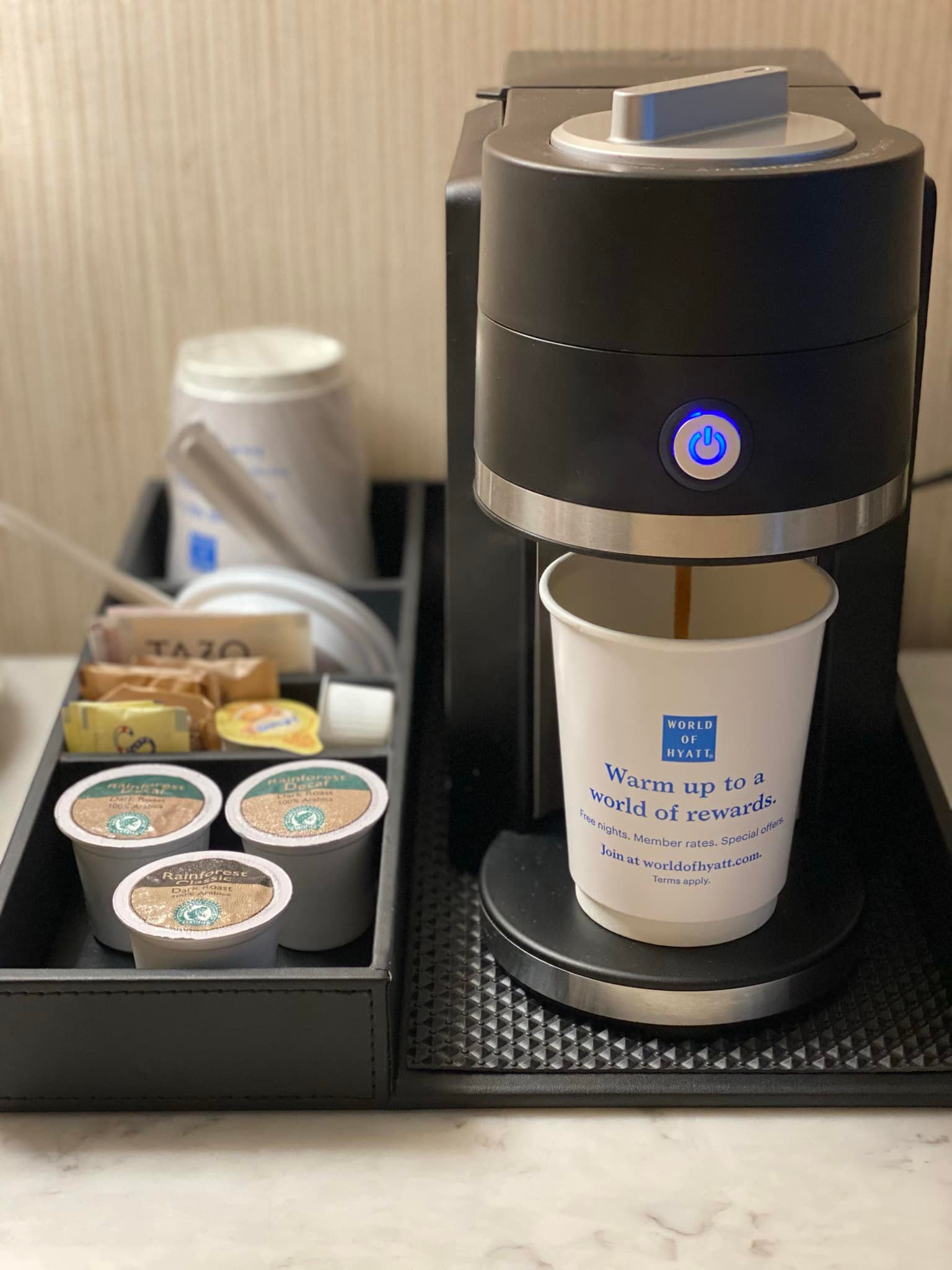 The Hyatt Regency Scottsdale Resort and Spa