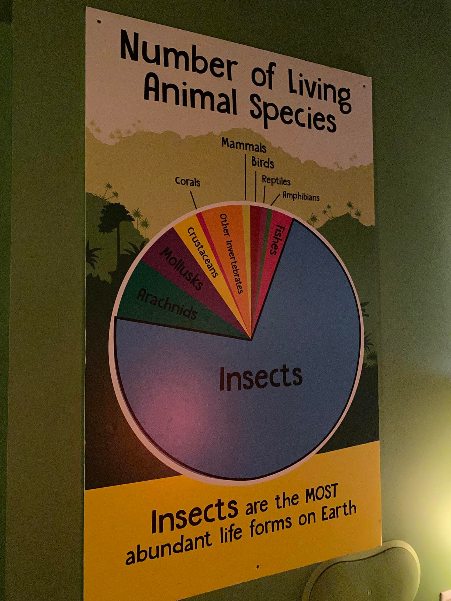 Family Fun at Butterfly Wonderland in Arizona