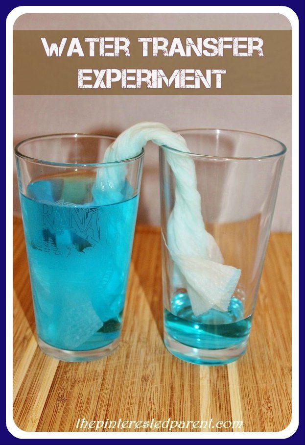Water & Ice Science For Toddlers – The Pinterested Parent
