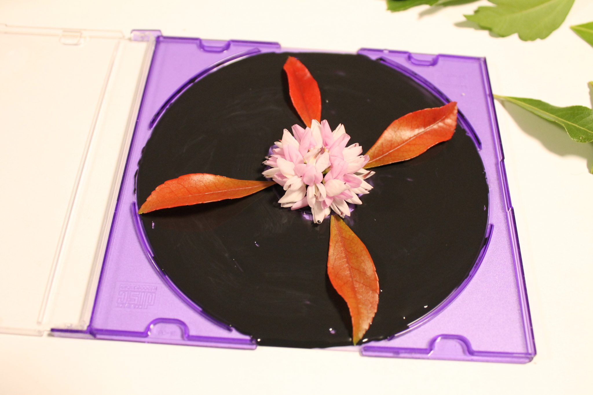 CD Case Artwork For Kids – The Pinterested Parent