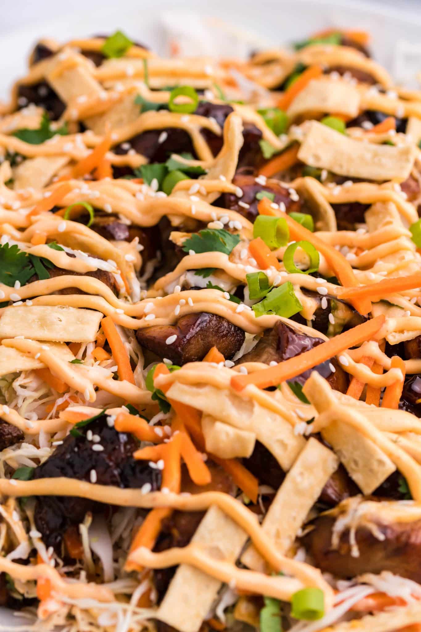 Asian Chicken Nachos - The Quicker Kitchen
