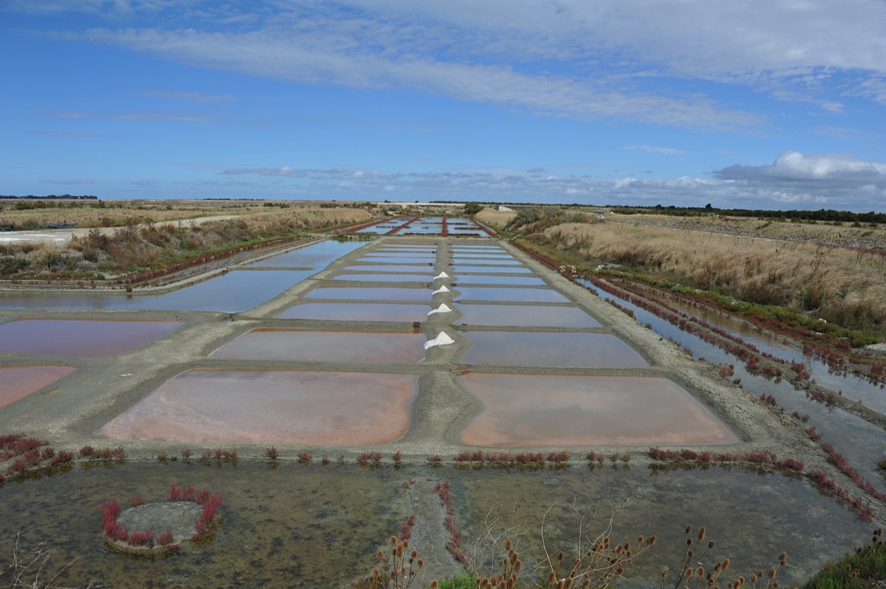 Postcard from Île de Ré - The Sequinist