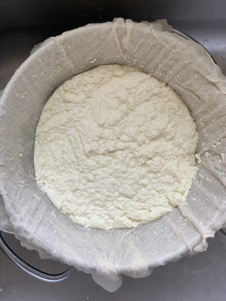 Homemade Ricotta Cheese - The Suburban Soapbox