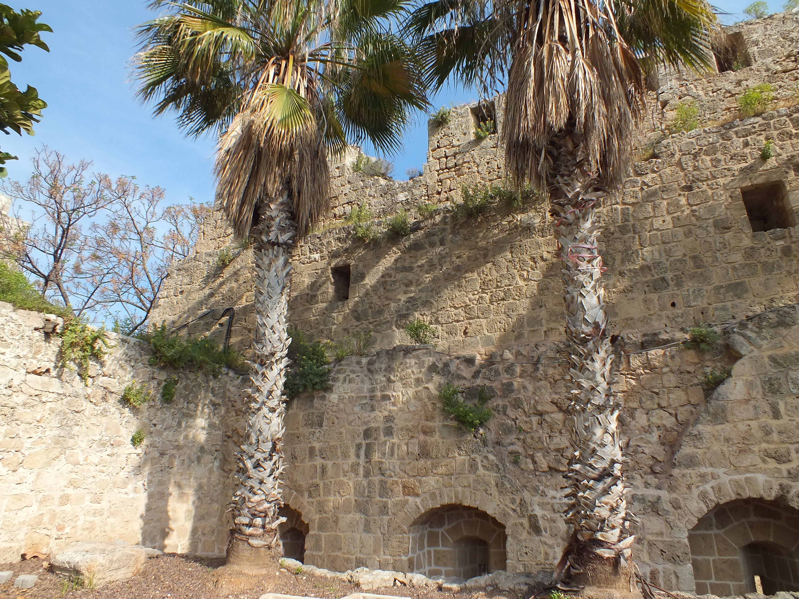 Siege of Acre - disaster for the Knights Templar - The Templar Knight